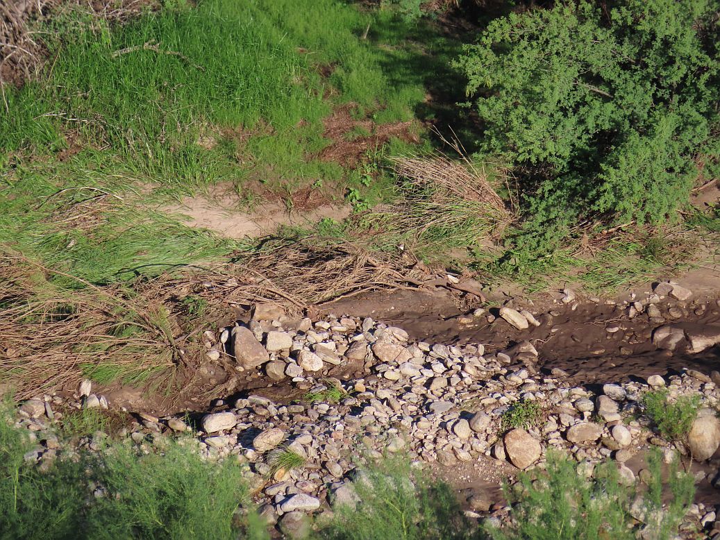 Rain washing mountains, mountains washing waters | Bob Schwartz