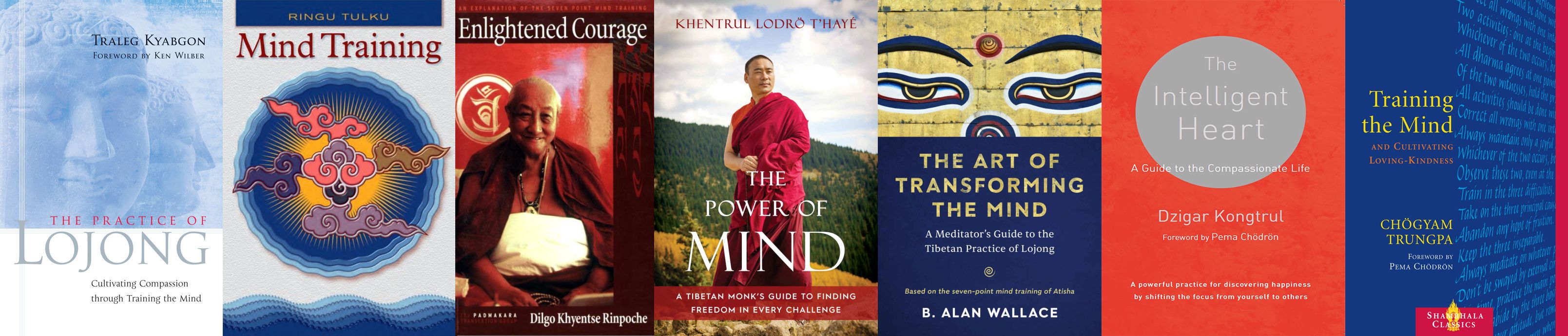 Lojong: Tibetan Buddhist Mind Training | Bob Schwartz