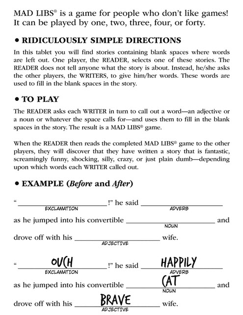 Happy New Year Mad Libs | Bob Schwartz